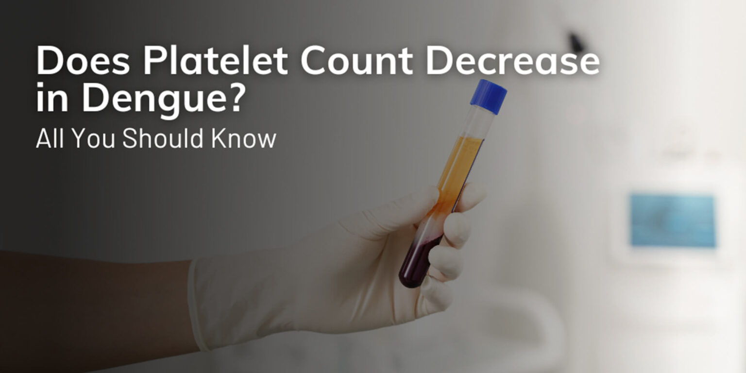 Why Platelet Count Decrease in Dengue – When to Worry and Seek Treatment - Husaini Blood Bank