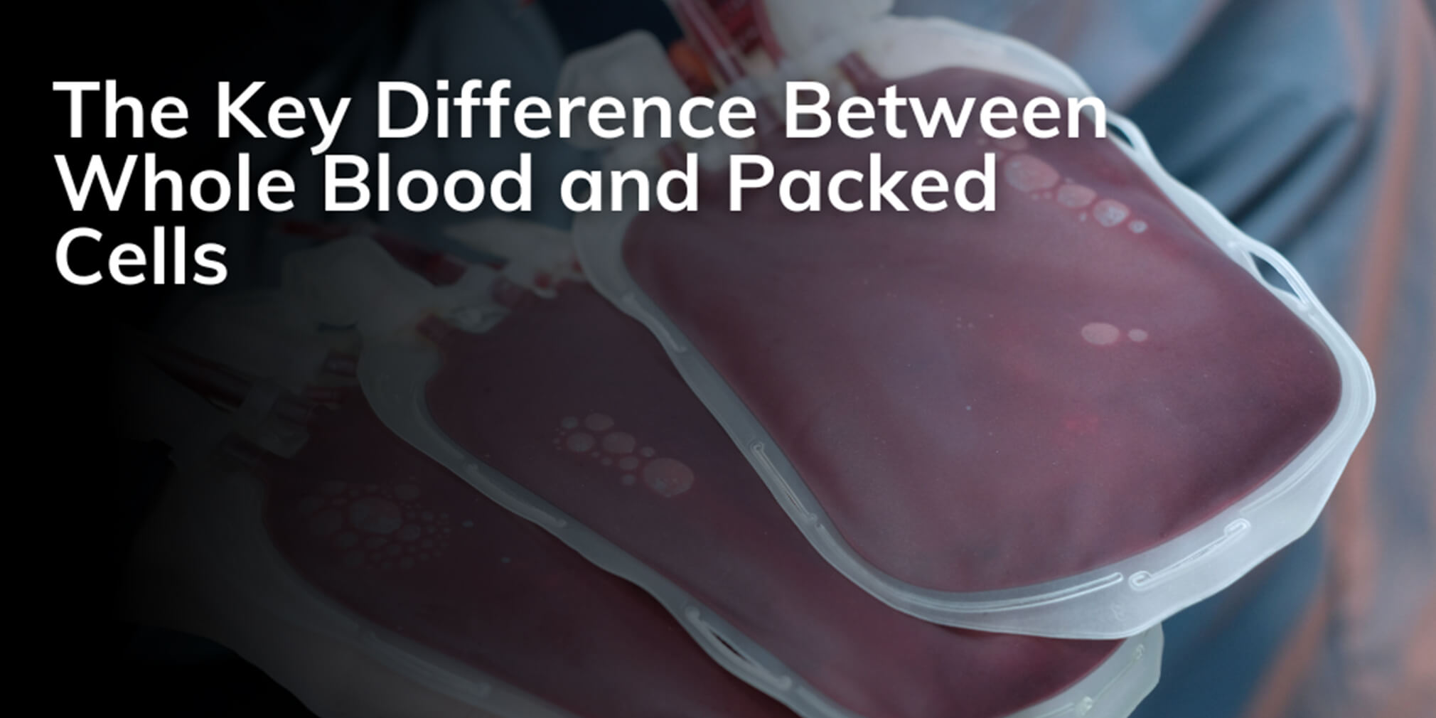 The Key Difference Between Whole Blood and Packed Cells - Husaini Blood ...